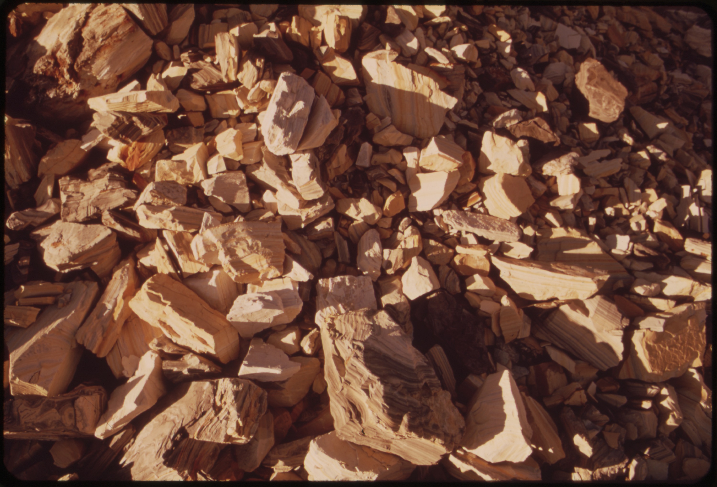 The Impact of Fossil Fuels on the Environment - FossilFuel.com