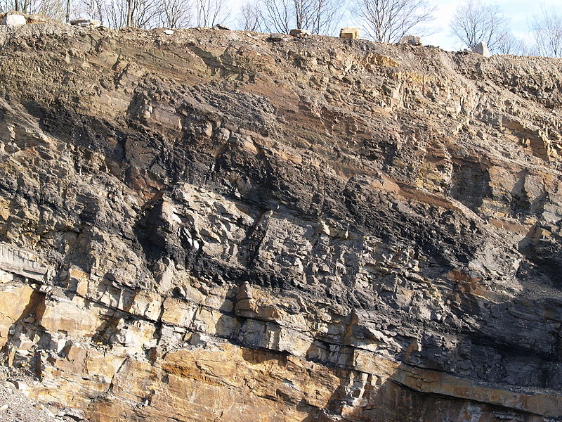 Coal Seams: Things You’ve Always Wanted to Know - FossilFuel.com